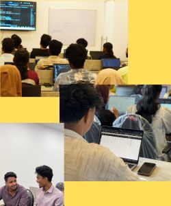 Best Software Training Institute in Calicut | Techolas Calicut